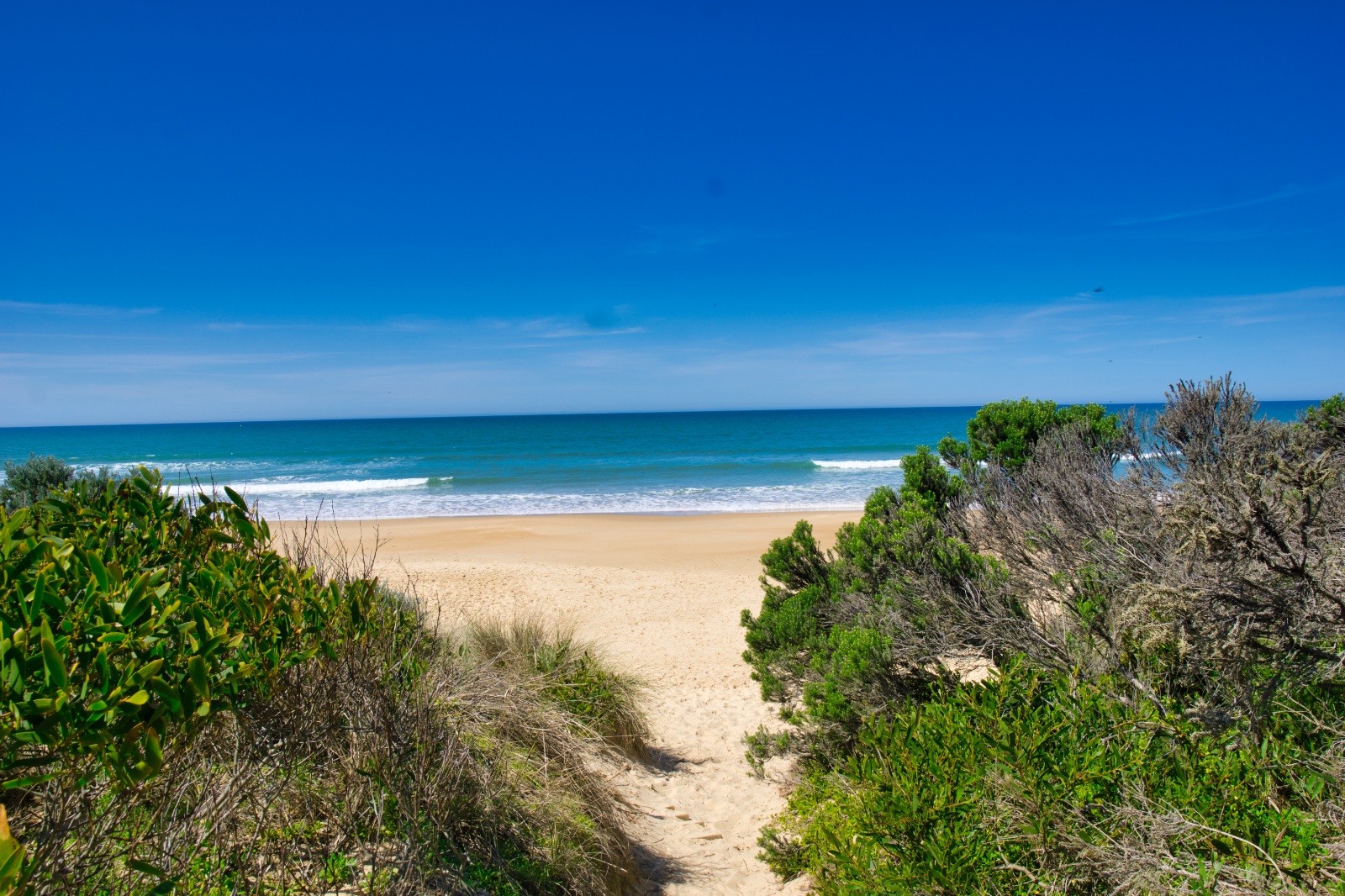 Port Albert